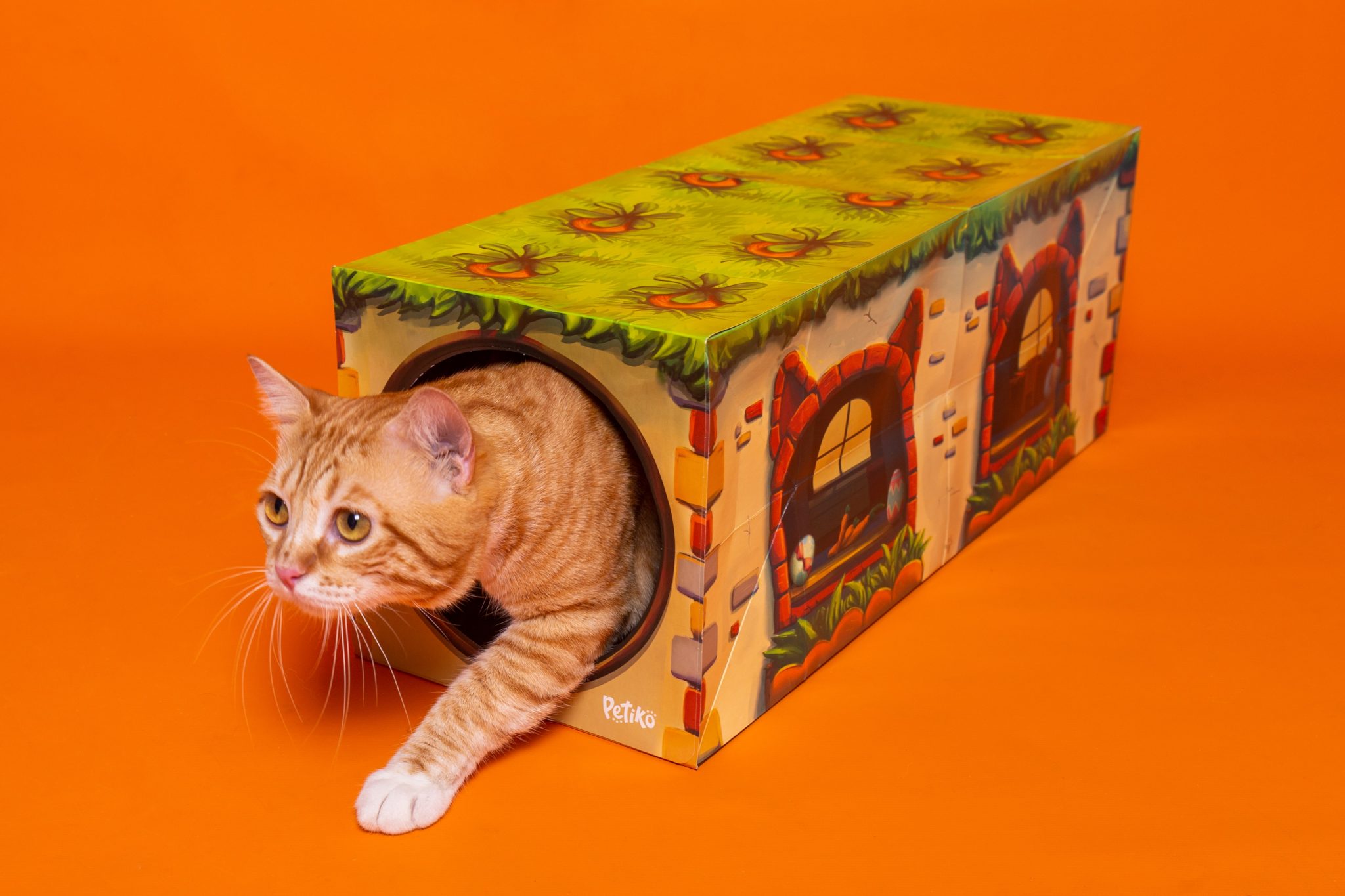 Gatificação: confira o enriquecimento ambiental para gatos - BLOG.Petiko